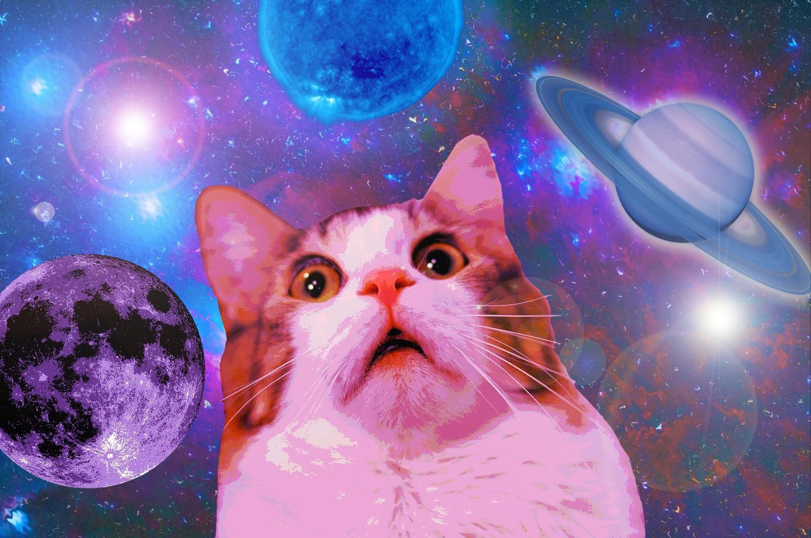 R v lation La V ritable Identit Des Chats Hurlemort fr r-v-lation-la-v-ritable-identit-des-chats-hurlemort-fr